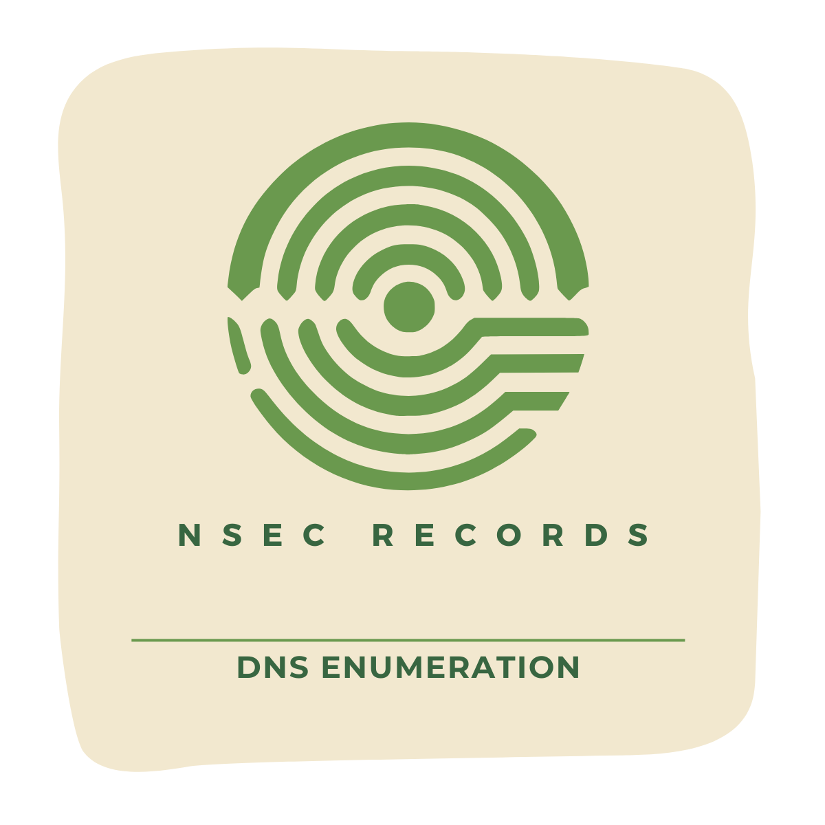 Enumerating DNS zones using NSEC | Recon Wave